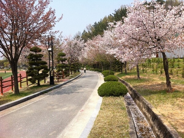 Exploring the Benefits and Fun of the Mokwon University